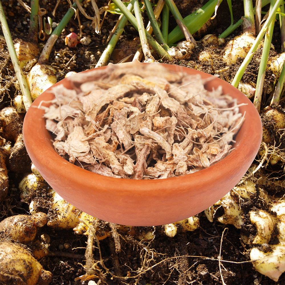 Dried Ginger